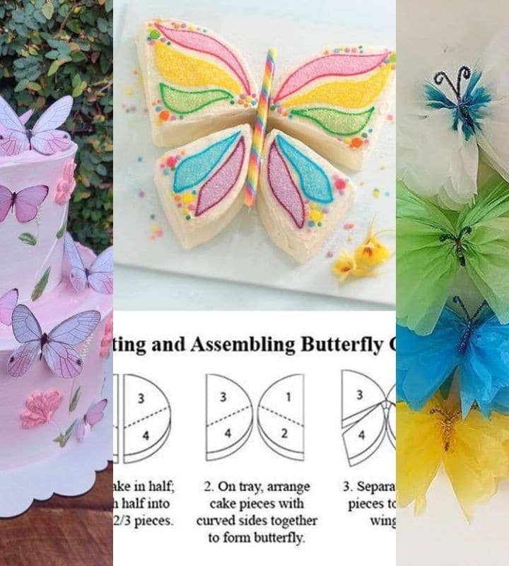Butterfly Party Ideas | Creative Party Themes