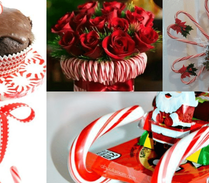 Very creative ideas with candy cane